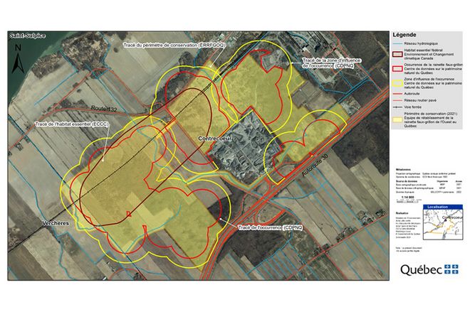 Habitat de la rainette faux-grillon de l’Ouest | Gouvernement du Québec