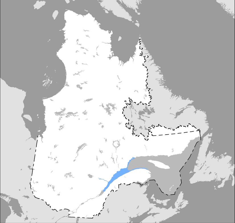 Béluga, population de l’estuaire du Saint-Laurent | Gouvernement du Québec