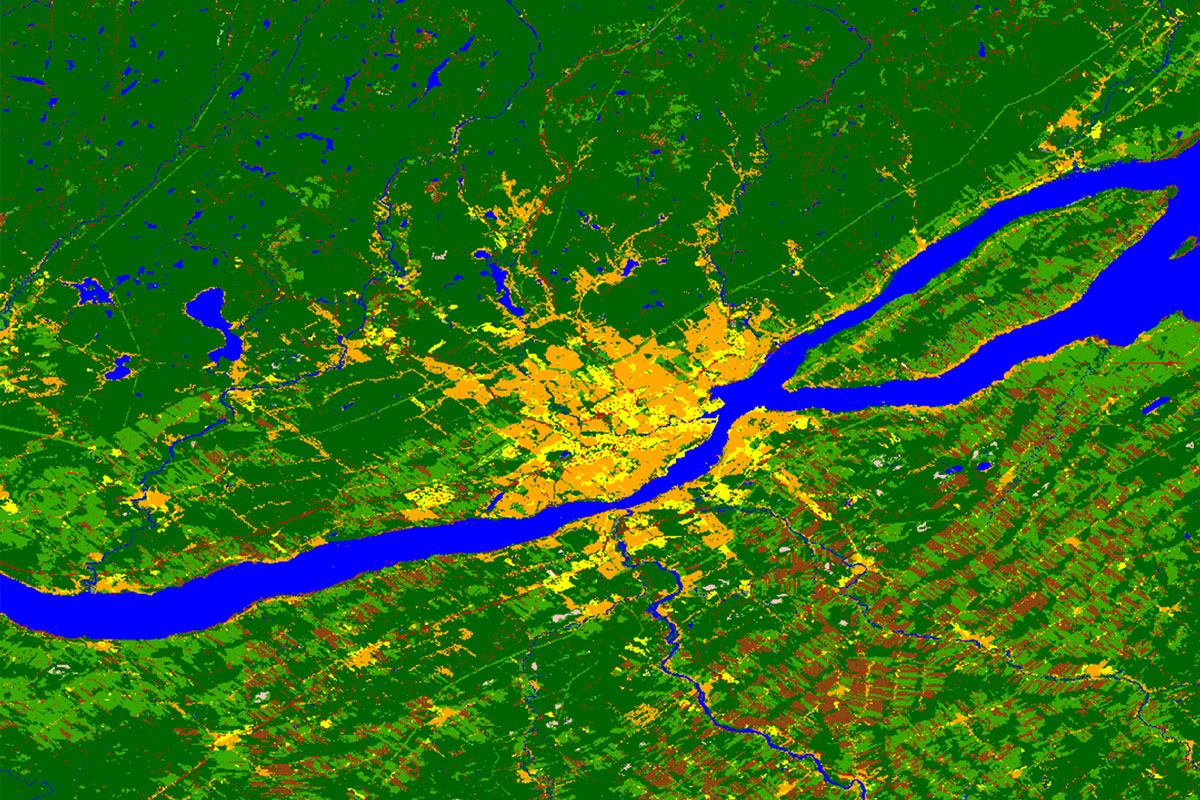 MRNF : Ressources naturelles et Forêts | Gouvernement du Québec