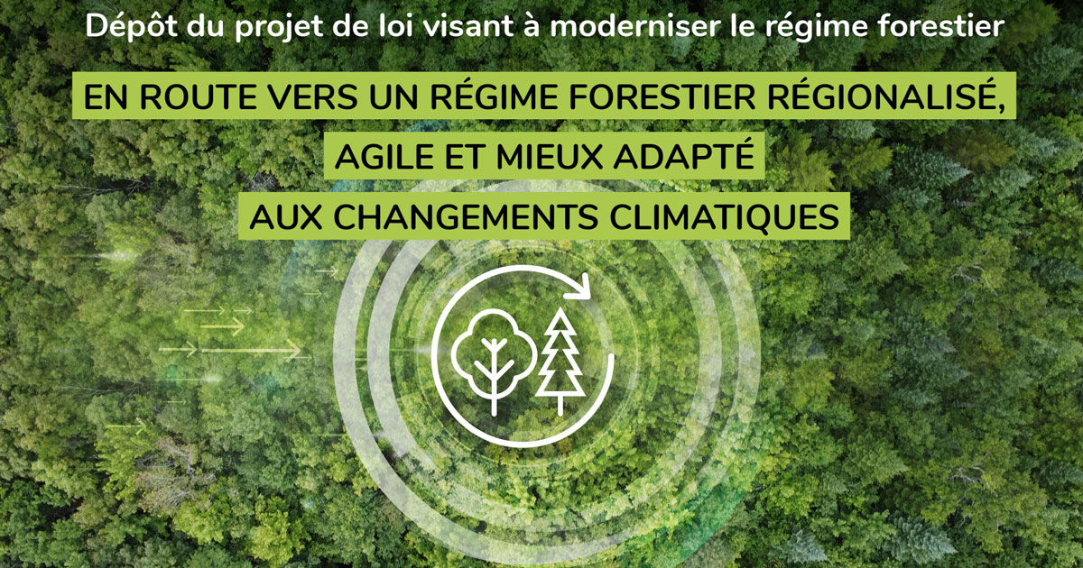Dépôt du projet de loi visant principalement à moderniser le régime forestier Gouvernement du Québec