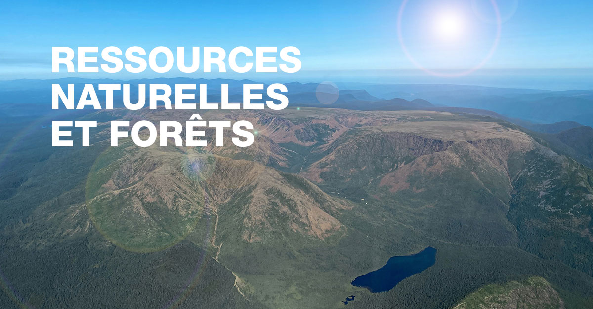 Mission et mandats du ministère des Ressources naturelles et des Forêts | Gouvernement du Québec