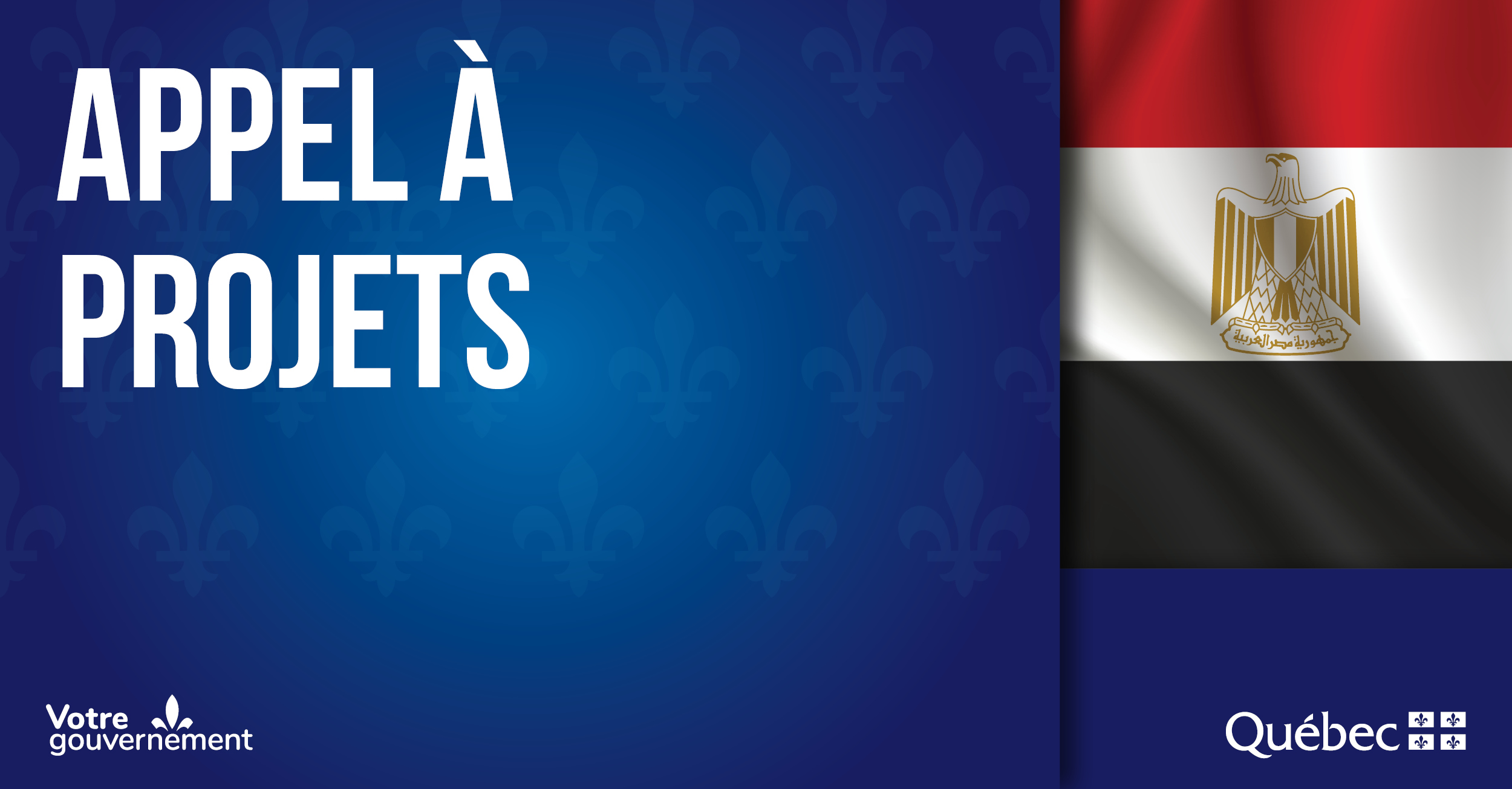 Premier appel à projets de la coopération Québec-République arabe d’Égypte: Gouvernement du Québec