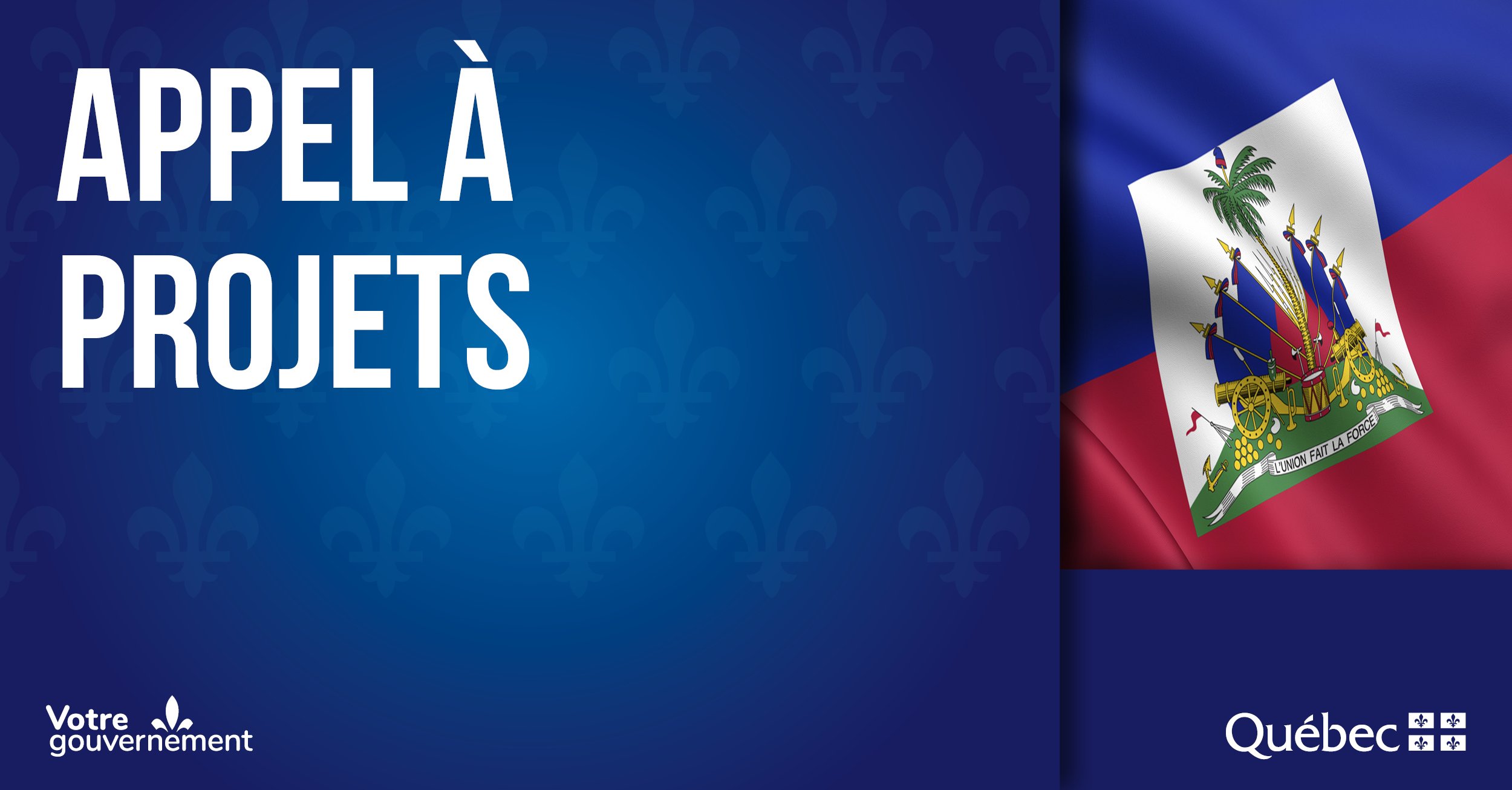 Lancement d’un appel à projets d’organismes de la diaspora haïtienne ...